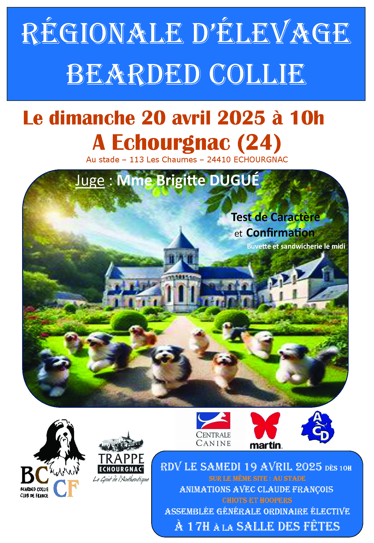 BCCF – Bearded Collie Club de France