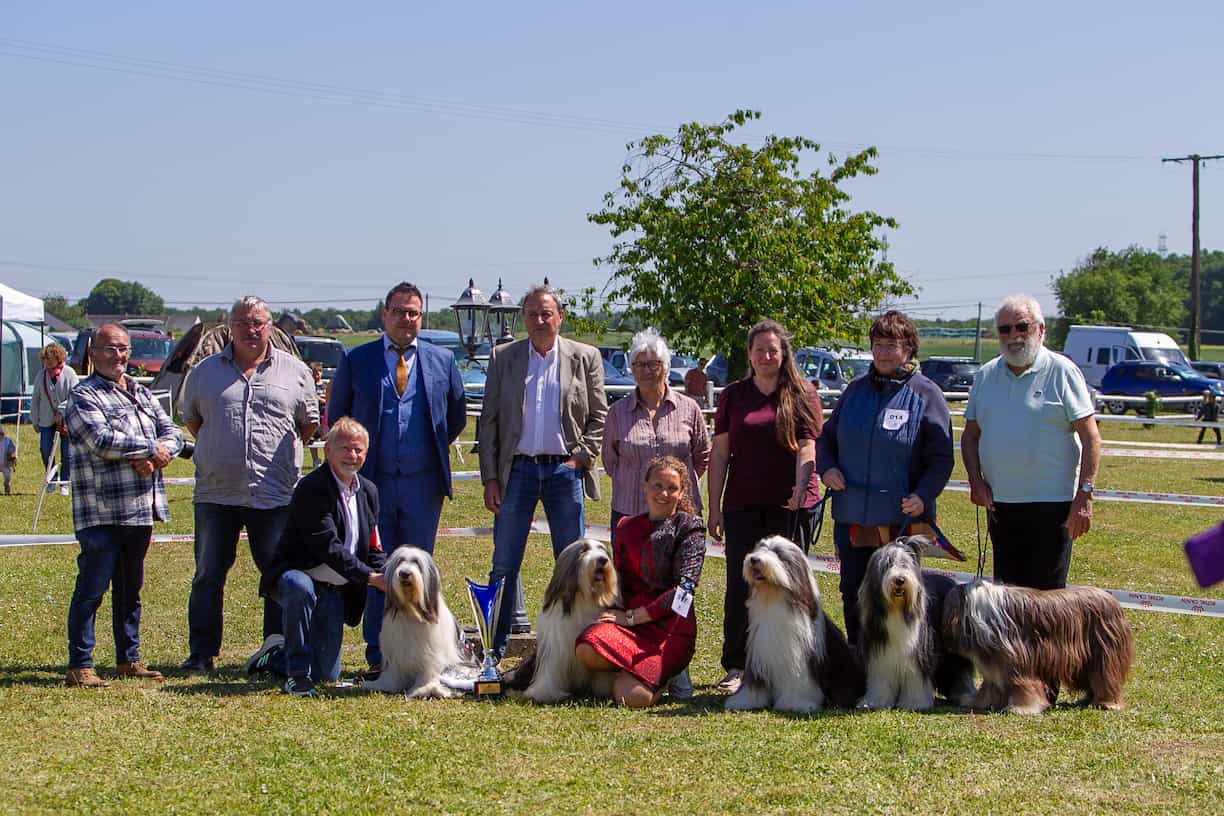 BCCF – Bearded Collie Club de France